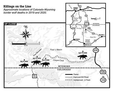 How shooters lured historic Colorado wolves to their deaths in Wyoming ...
