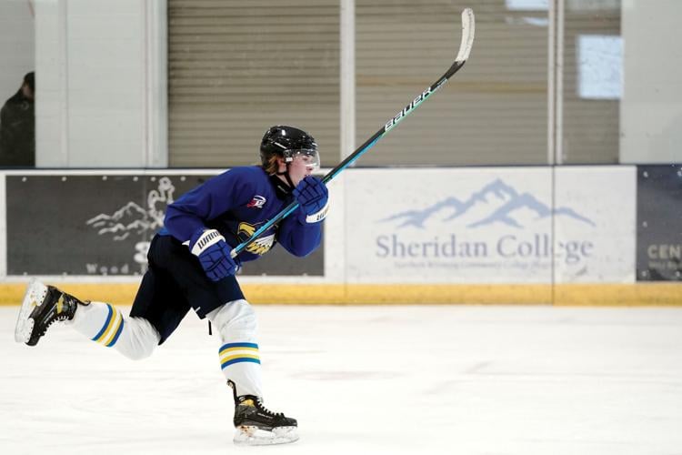 How Norling returned to competitive hockey, stars for Hawks | Local ...