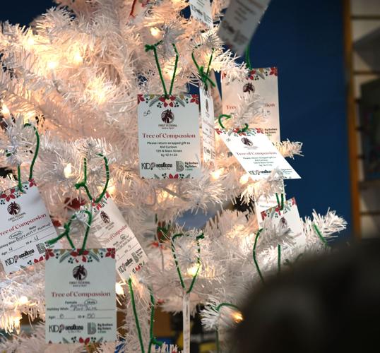 Tree of Compassion in Kid Curious | Multimedia | thesheridanpress.com