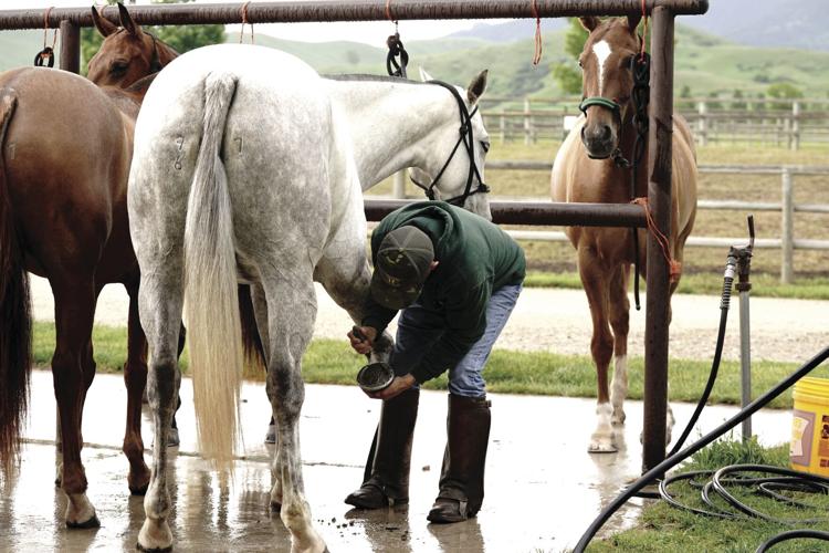 Flying H Polo battles rainy weather, gears up for season with adjusted ...