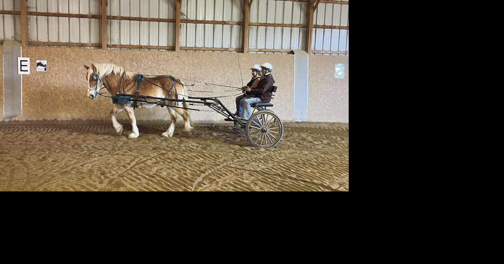 CHAPS to host driving clinic | Local News | thesheridanpress.com