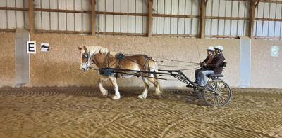 CHAPS to host driving clinic | Local News | thesheridanpress.com