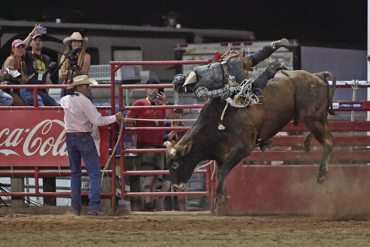 2024 is another record-breaking year for Sheridan WYO Rodeo | Local ...