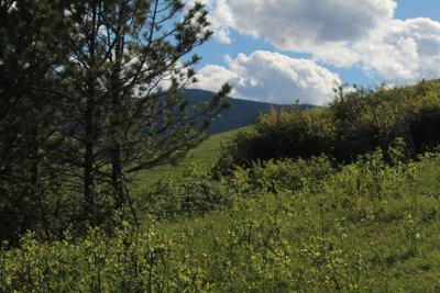 Columbus Peak: Motion to swap acres in Dayton fails | Local News ...