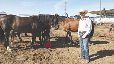 Contractors name animals to showcase personalities, lineage | Local ...