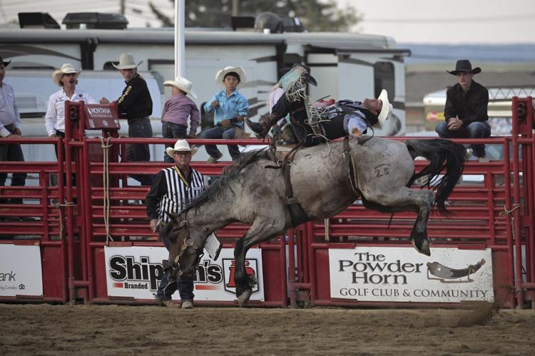 2024 is another record-breaking year for Sheridan WYO Rodeo | Local ...