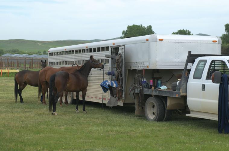 Flying H Polo Club looks forward to more normal 2021 season | Local ...