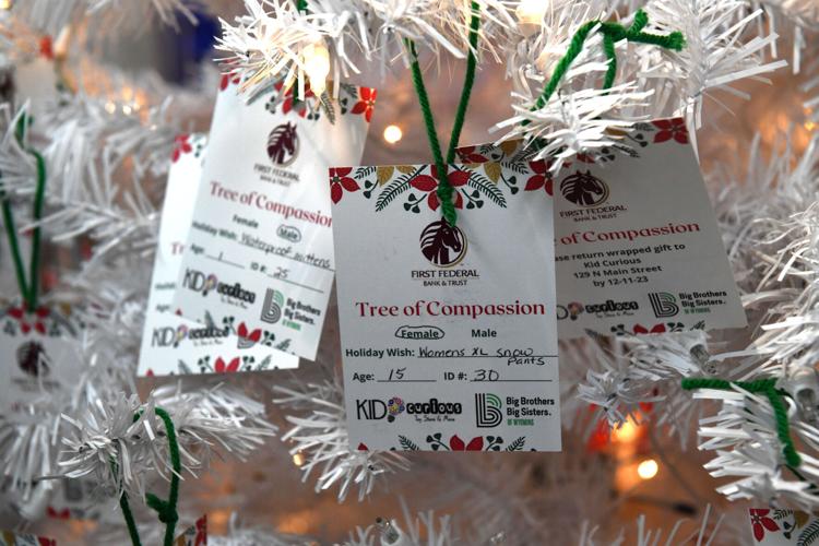 Tree of Compassion in Kid Curious | Multimedia | thesheridanpress.com