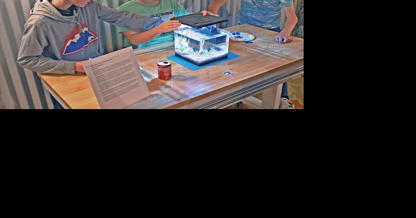 Wyldflower Learning Community's Fall Journey Expo | Photo Galleries ...