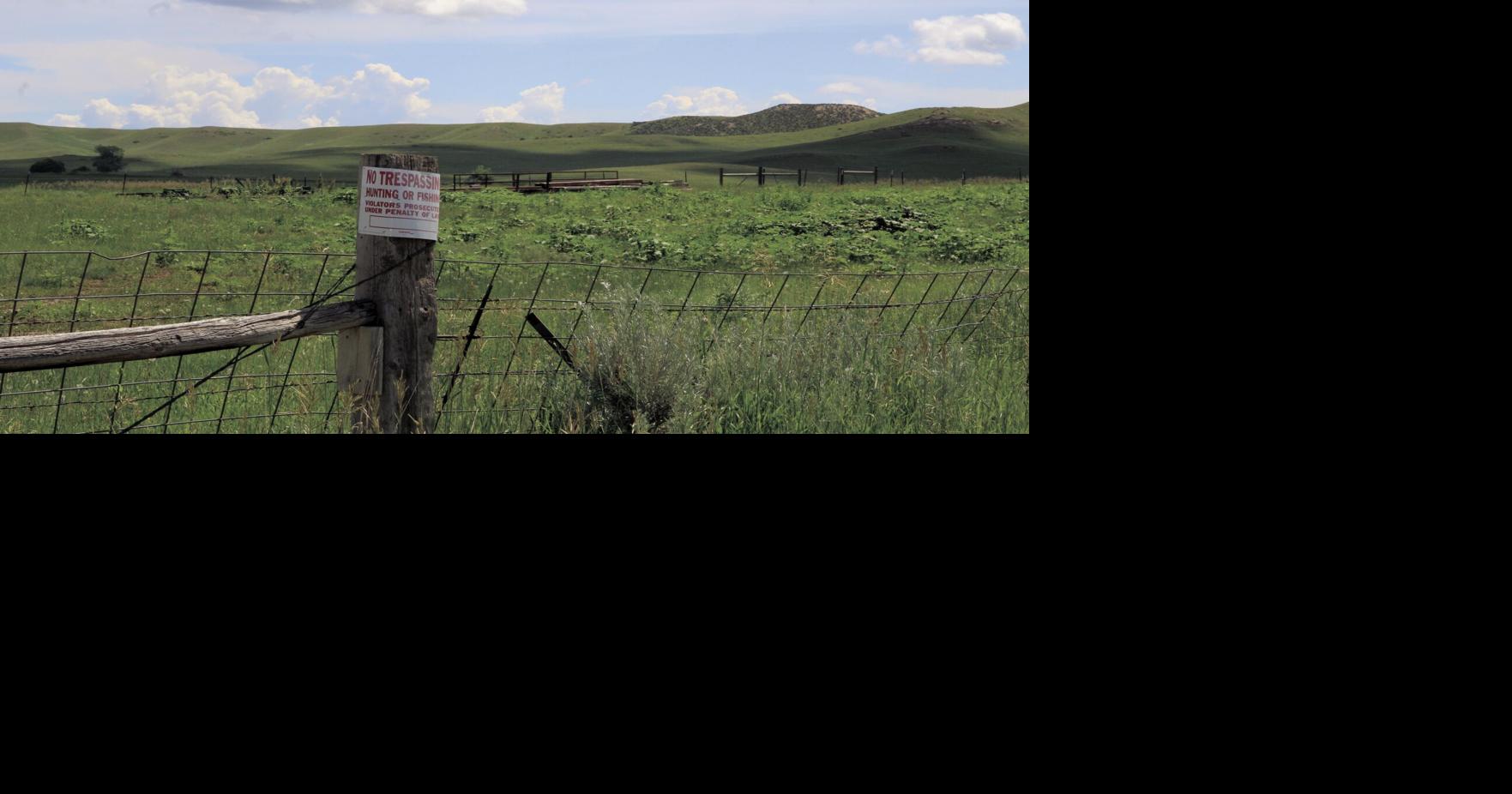 Dayton poaching case results in decades-long license suspension ...