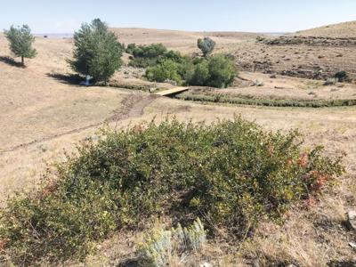 SCLT's fresh tracks volunteer night moves to Red Grade Trails | Local ...