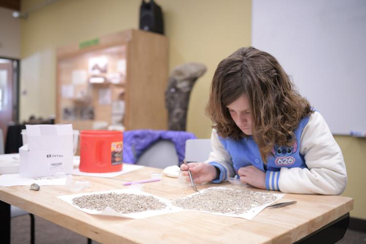 Sheridan County Gem and Mineral Club offers an interest outlet for rock ...