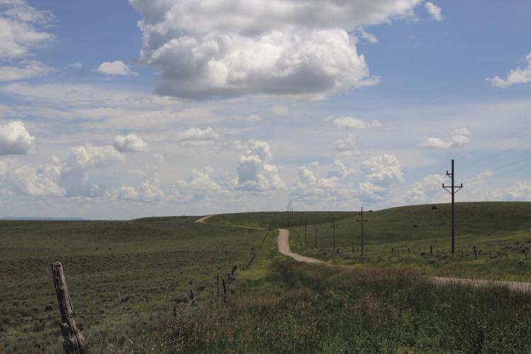 Dayton poaching case results in decades-long license suspension ...