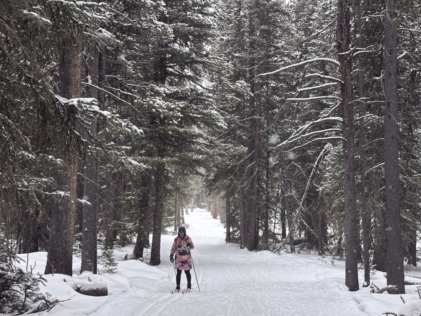 Nordic sports span generations | Local News | thesheridanpress.com