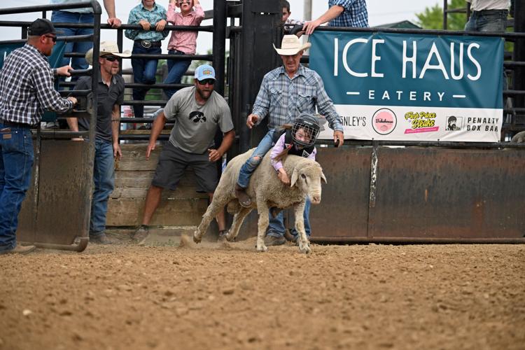 Inaugural Sheridan County Fair mutton bustin’ | Photo Galleries ...