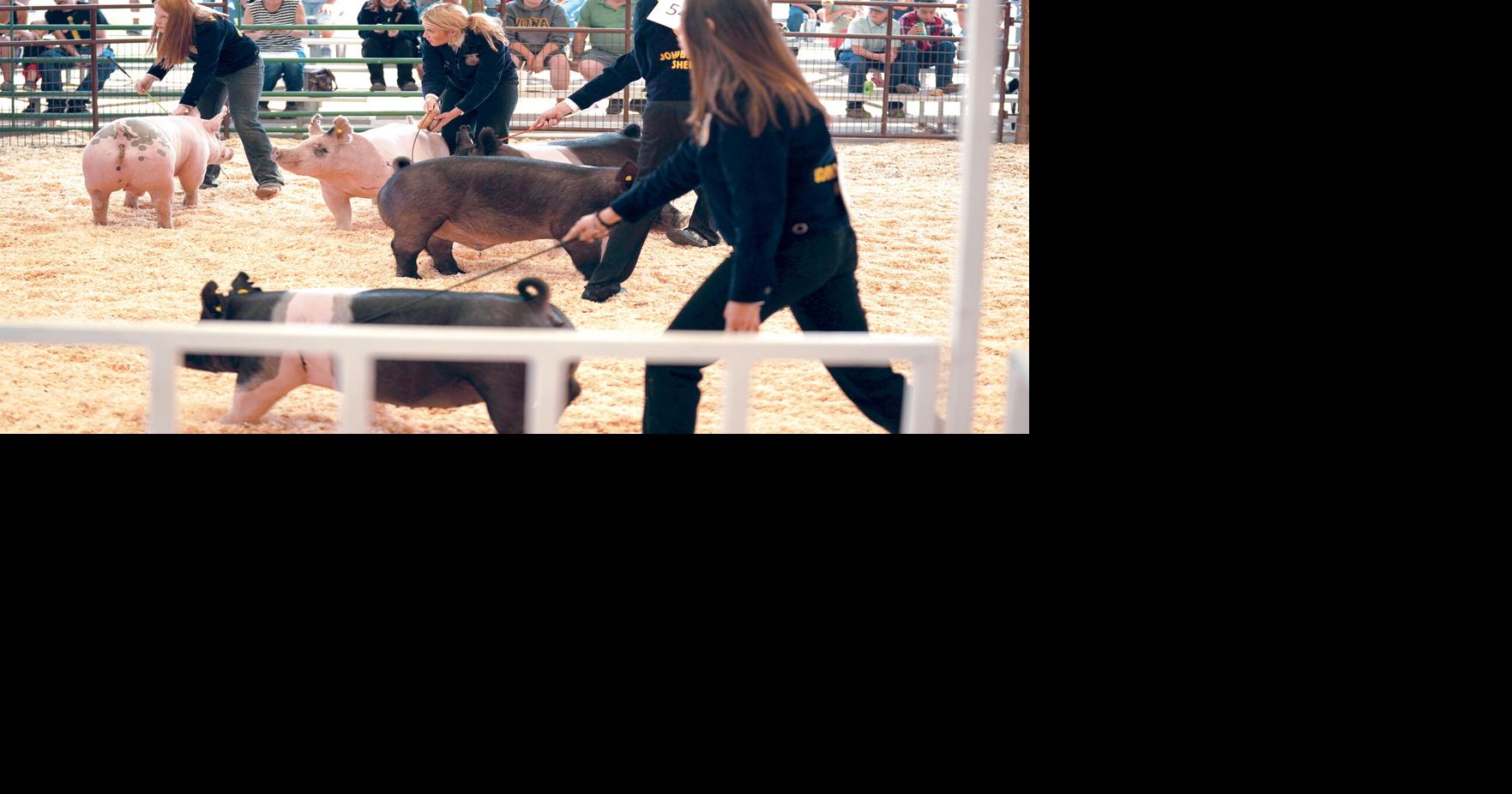 Foundation hosts Give FFA Day, reminds participants to support local ...