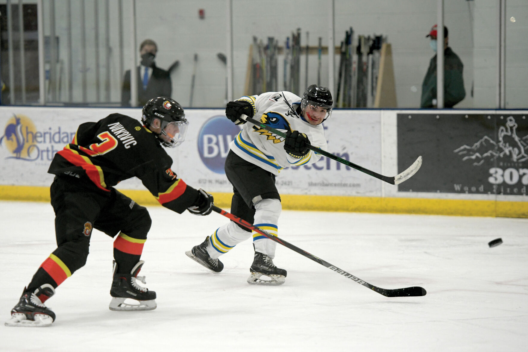 NA3HL Hawks vs. Gillette Wild | Photo Galleries | thesheridanpress.com
