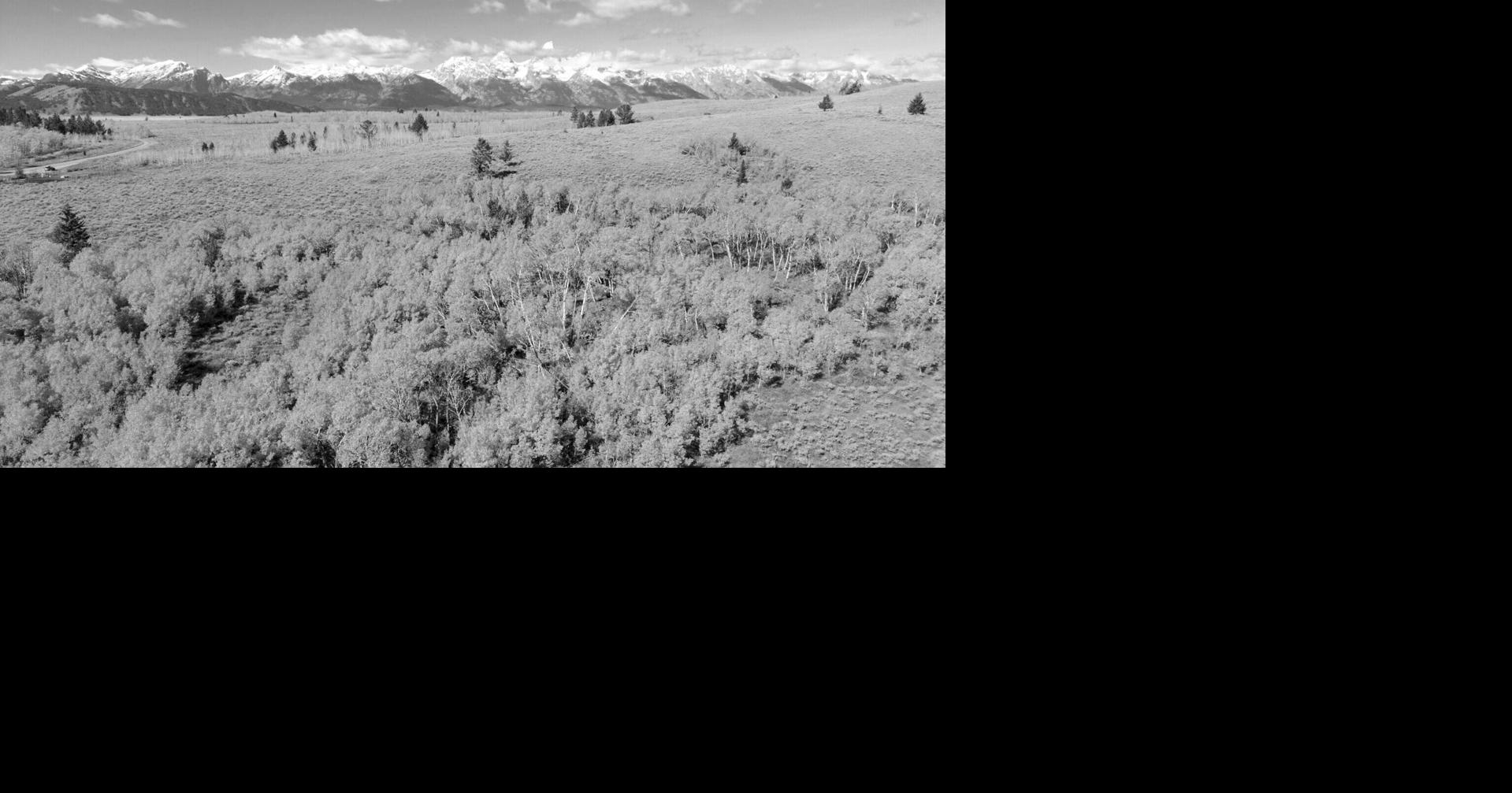 State approves Kelly parcel sale contract, future Powder River Basin ...