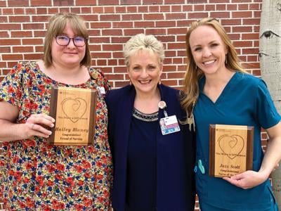 SMH awards Nurse of the Year, Friend of Nursing accolades | Local News ...