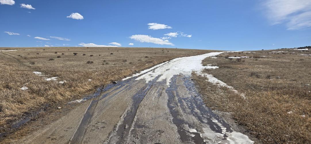 Muddy conditions impact access on forest | People and events ...