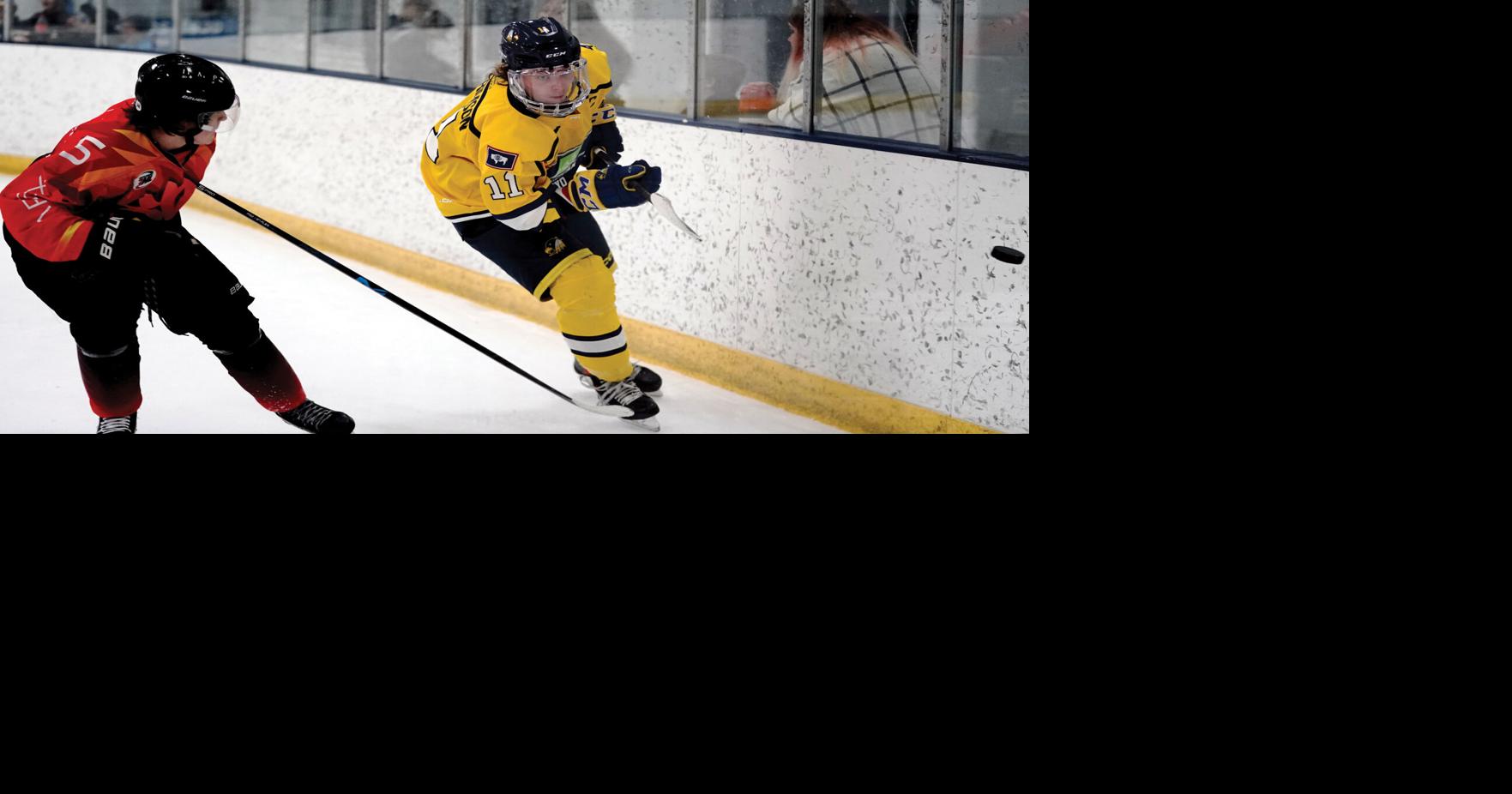 NA3HL Hawks vs. Gillette Wild (12-31-2022) | Photo Galleries ...
