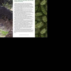 Page DESTINATION SHER SPRING 2025 25 | Special Sections ...