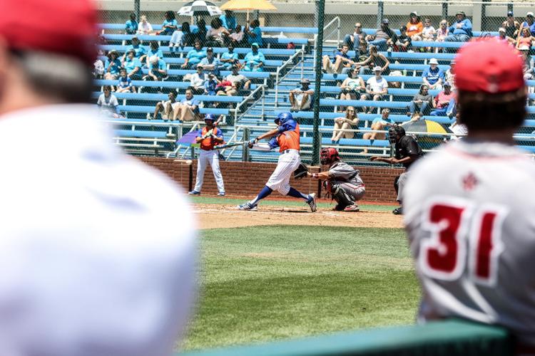 Bark in the Park brings together fans, dogs, baseball | Multimedia ...
