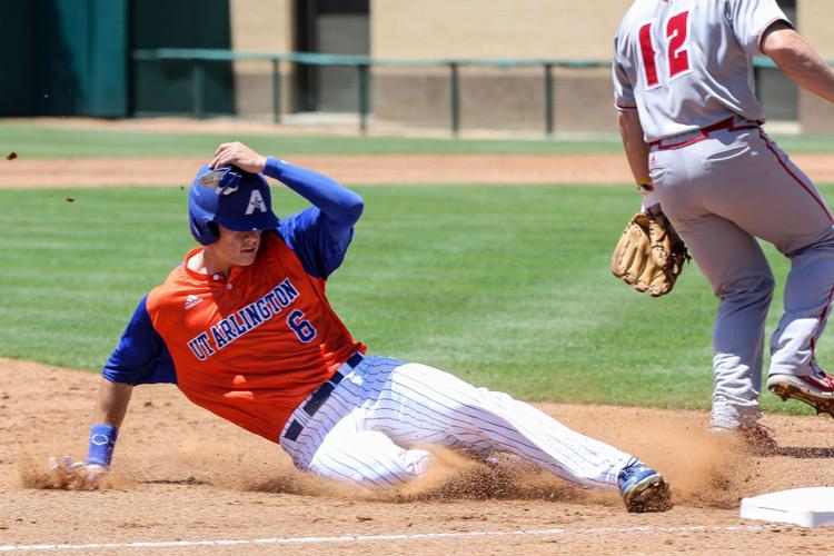 Bark in the Park brings together fans, dogs, baseball | Multimedia ...