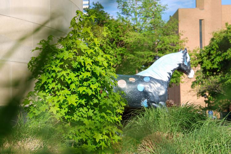 As Artemis II returns from the moon, UTA’s moon tree grows outside the ...