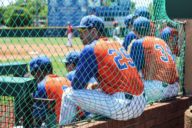 Bark in the Park brings together fans, dogs, baseball | Multimedia ...