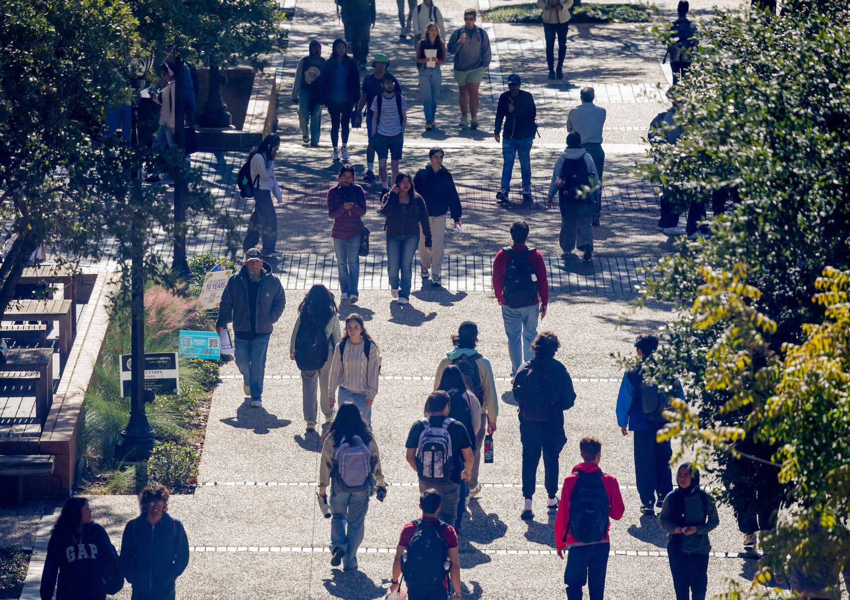 UTA sees enrollment increase for fall 2024. Which college has the most ...