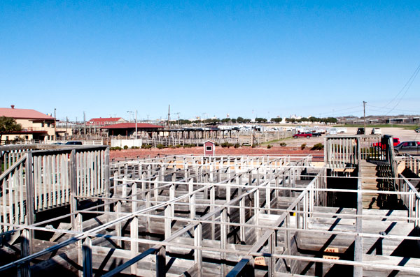 Meander through the Cowtown Cattlepen Maze, a life-sized labyrinth ...