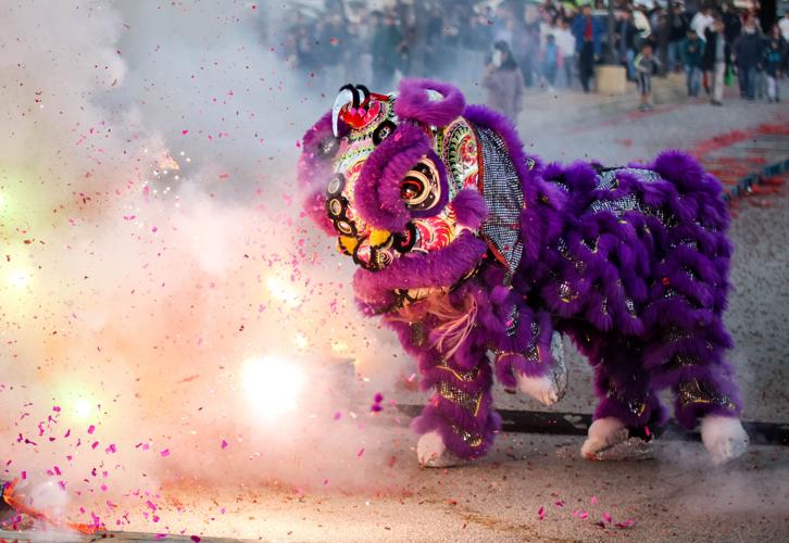 Lion dancing troupe displays passion in tradition | Multimedia ...