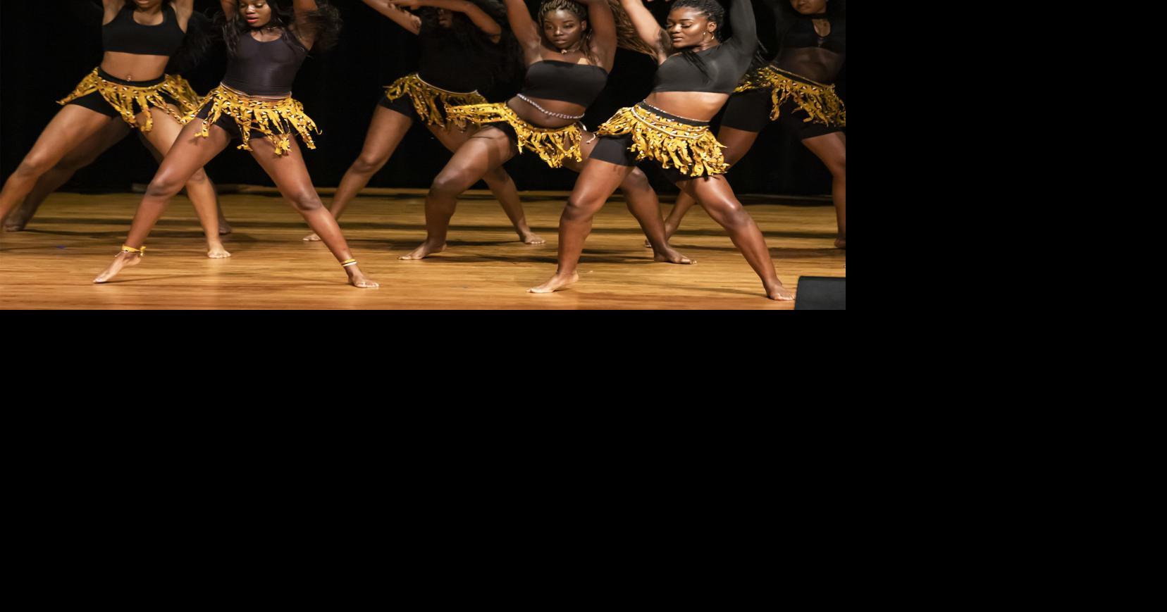 African Student Organization hosts Coming to Africa event to showcase ...