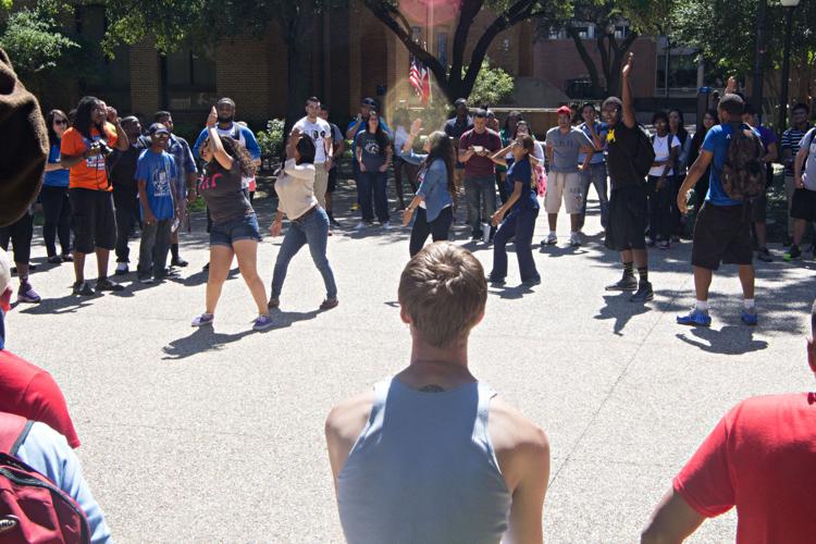 Multicultural Greek Council holds stroll off | Gallery | theshorthorn.com