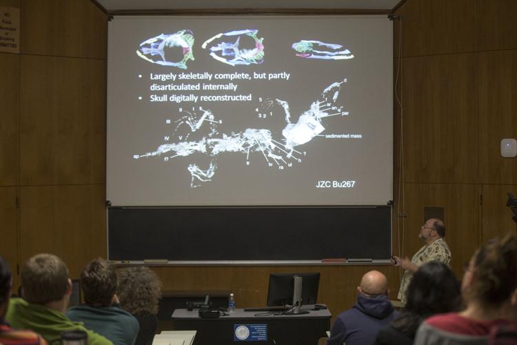 Gecko evolution lecture intrigues biology students | News ...