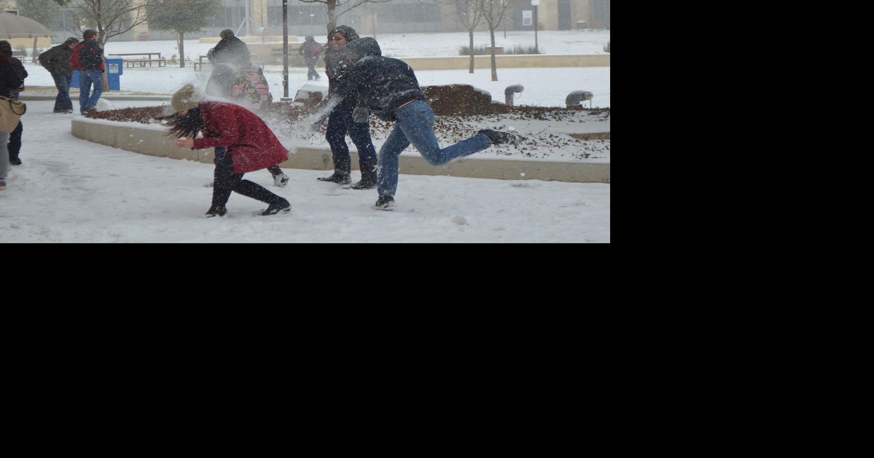 Snow day scenes | Gallery | theshorthorn.com