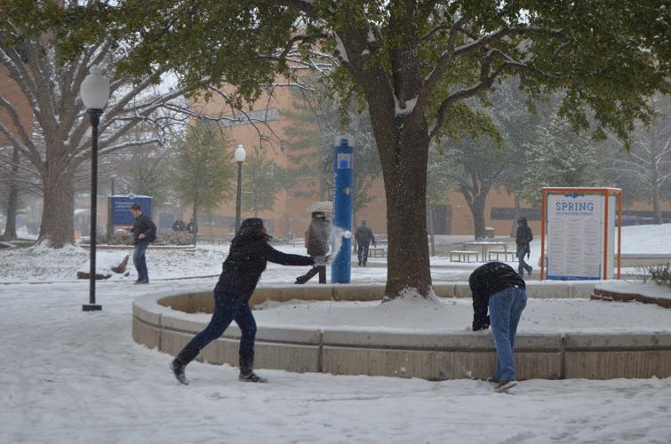 Snow day scenes | Gallery | theshorthorn.com
