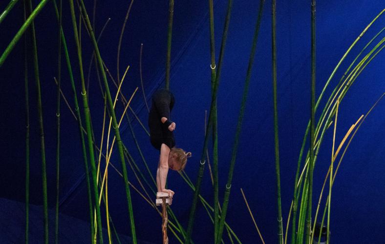 Photos: How Cirque Du Soleil prepares for a show | Gallery ...