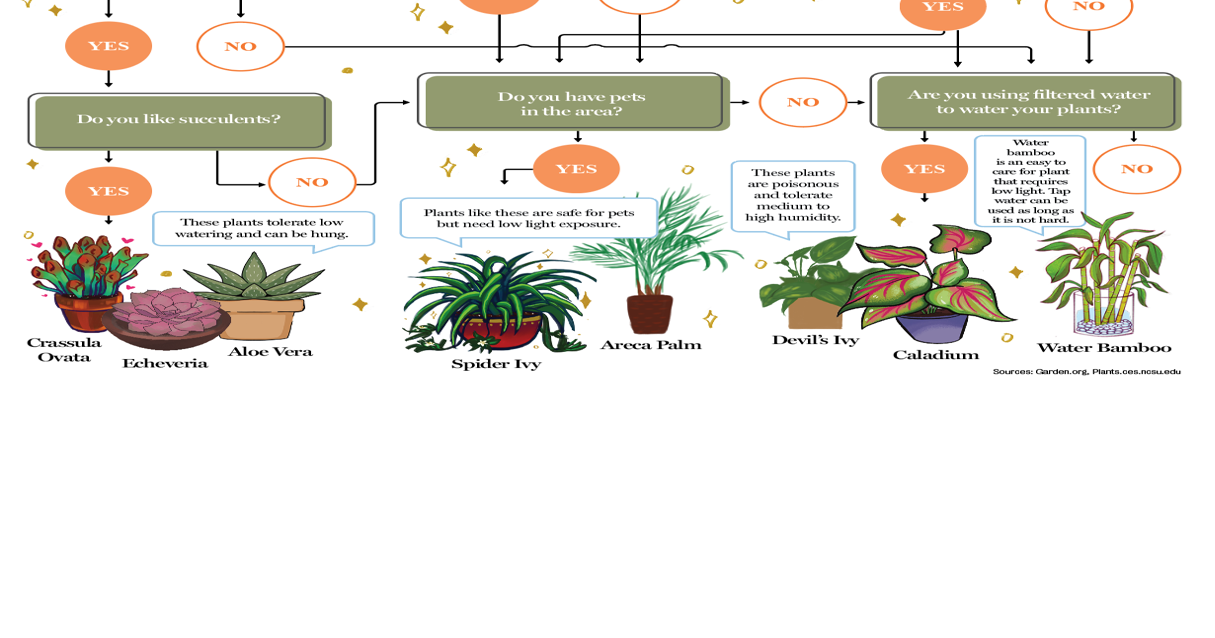 Which plant is best for you and your environment? | Multimedia | theshorthorn.com