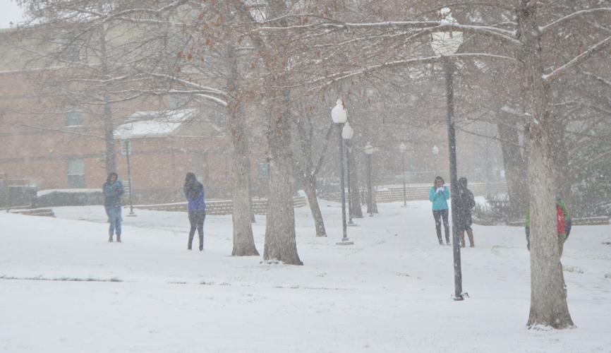 Snow day scenes | Gallery | theshorthorn.com