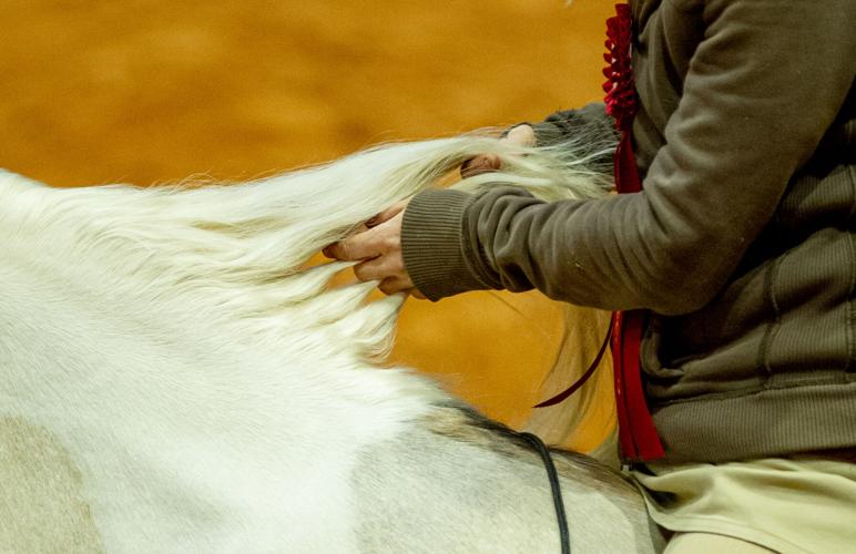 Fort Worth Stock Show and Rodeo saddles up for mustang performances ...