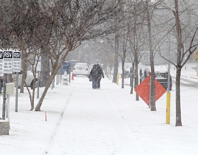 Snow day scenes | Gallery | theshorthorn.com