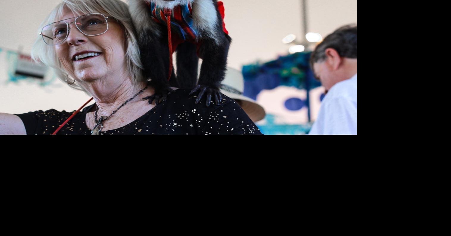 Midnight in Morocco VIP event kicks off the International Folk Art ...