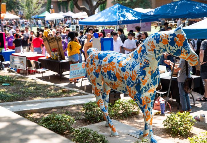 Photos: Mavericks gather for Cookout and Activity Fair | Multimedia ...