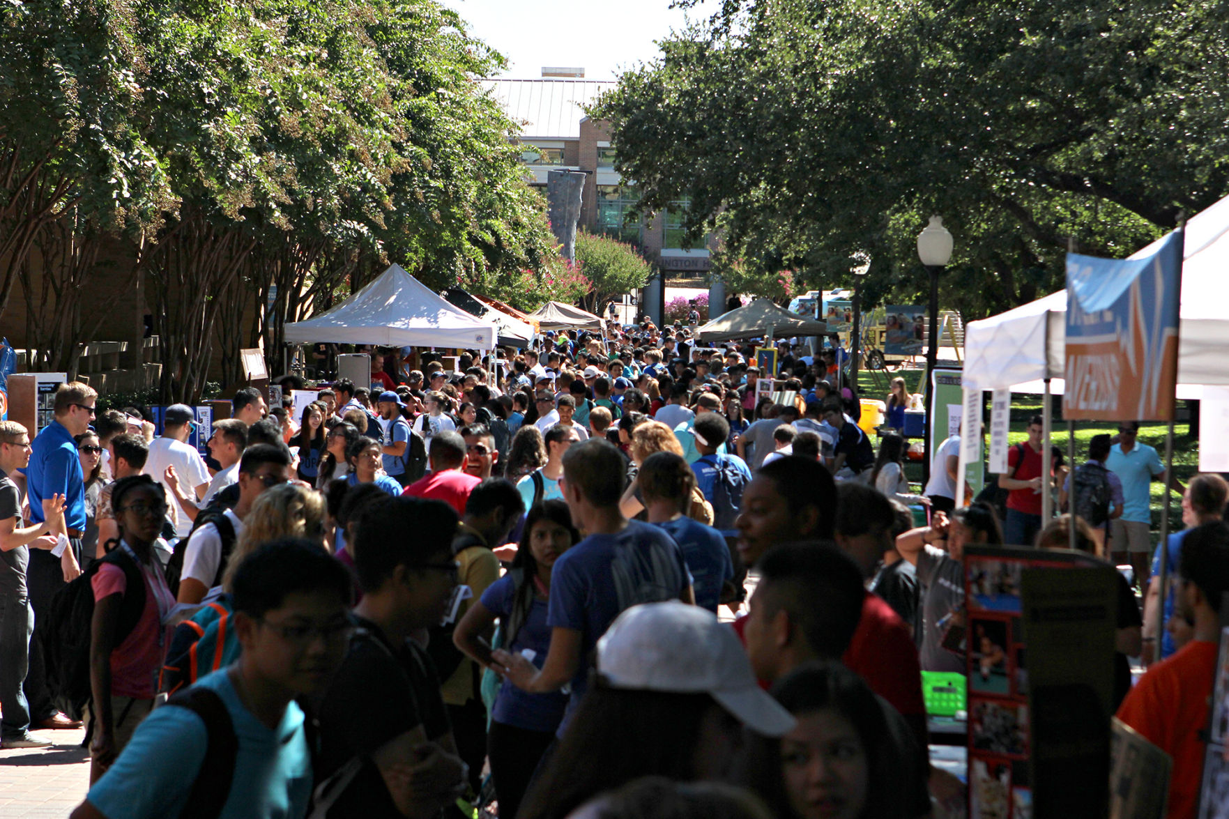 Activity Fair opens doors to students | Gallery | theshorthorn.com