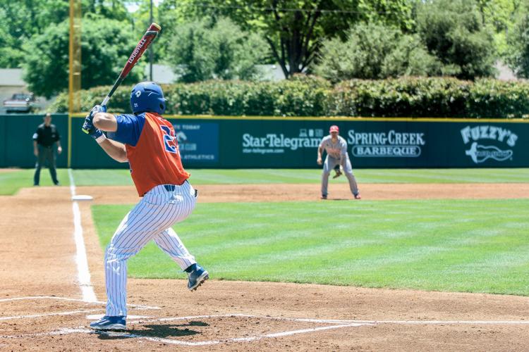 Bark in the Park brings together fans, dogs, baseball | Multimedia ...