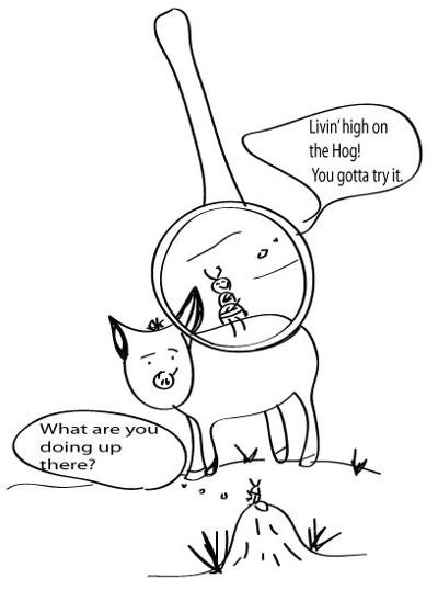 [Comic] Cliche - 7/27 | Editorial Cartoons | theshorthorn.com