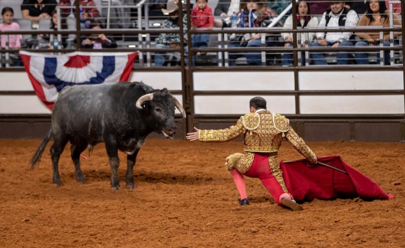 Photos: Rearing, rhythm and rodeos: Best of Mexico Celebración ...