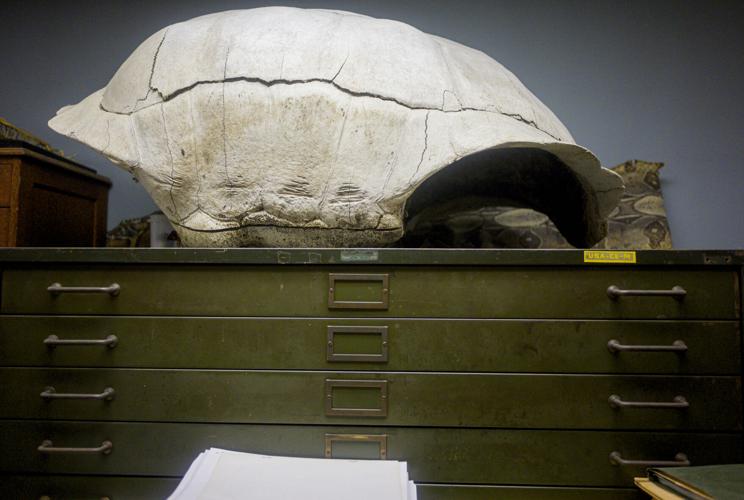 UTA herpetology library grows with Joseph Rex Dinardo Jr. Library ...